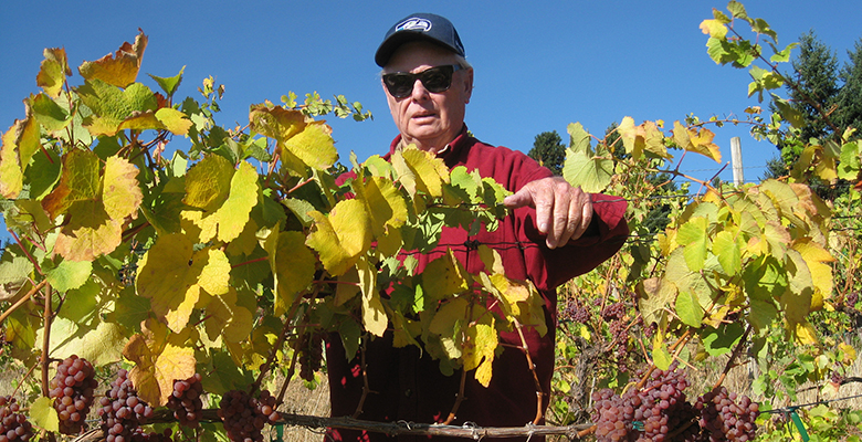 Celilo Vineyard Sold