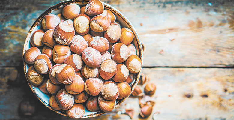 Nutty for Hazelnuts!