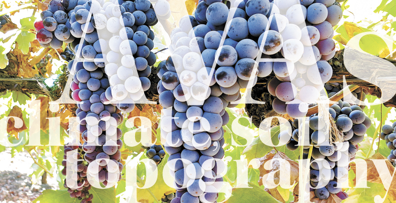 ABCs of Oregon’s AVAs