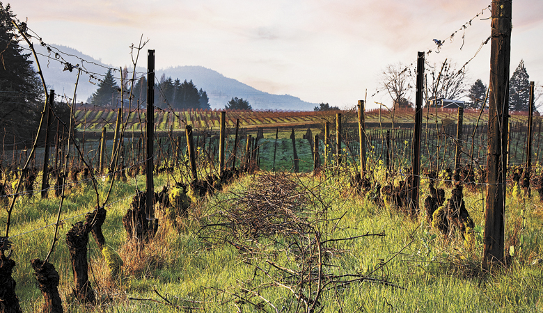 Grassroots of Ribbon Ridge