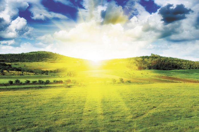 Summer … Coming Soon