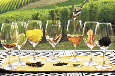 Making Scents of Wine