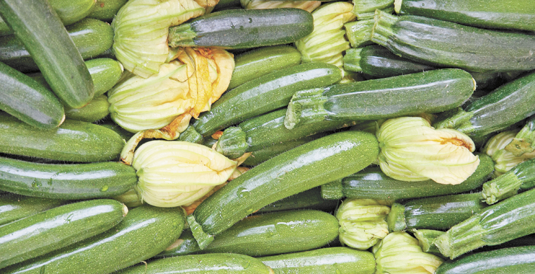 Squash Before Squish