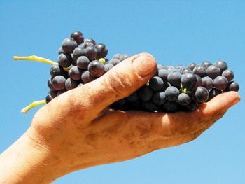 Taking Notice of Natural