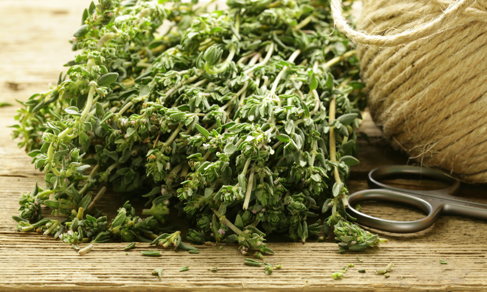 Harvest Thyme