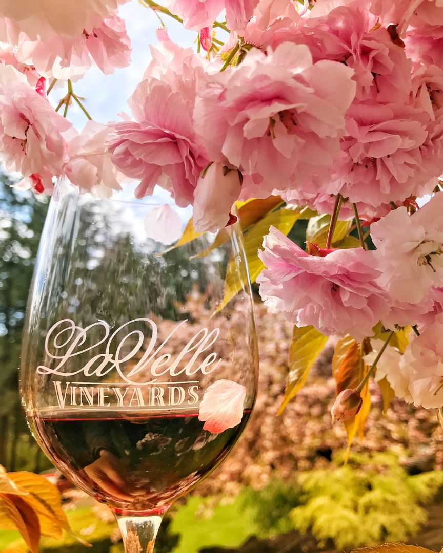 Annual Cherry Blossom Festival