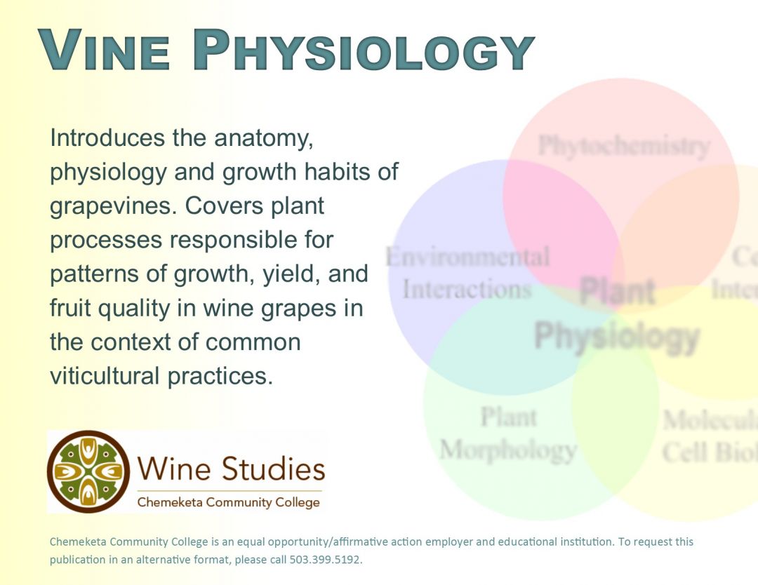 Vine Physiology Course
