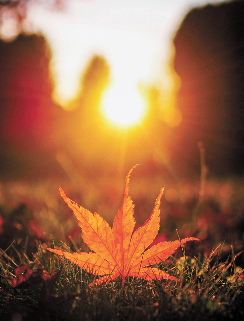 Fair Weather Forecast